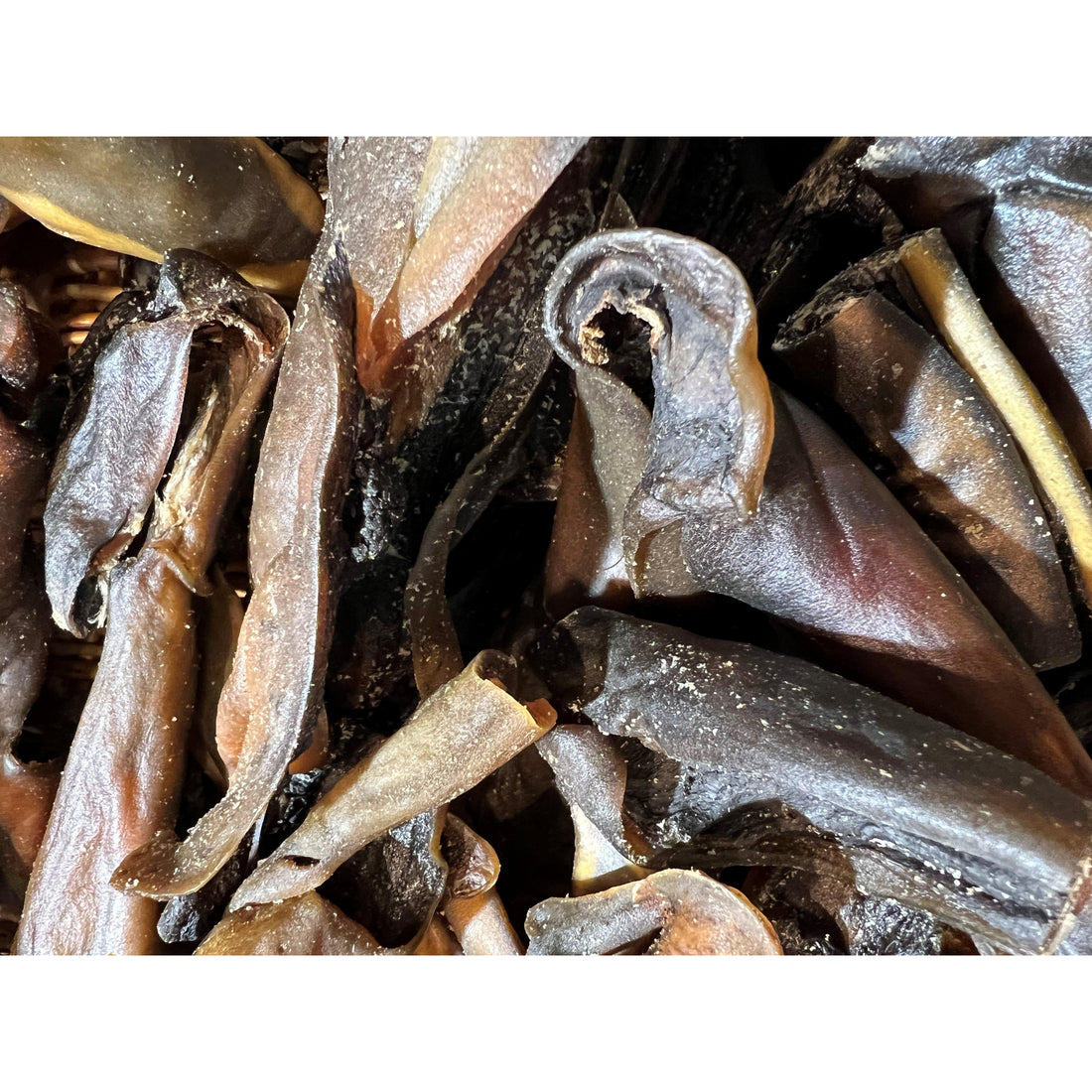 Dried Camel Skin pieces 100g – Pettitt and Boo